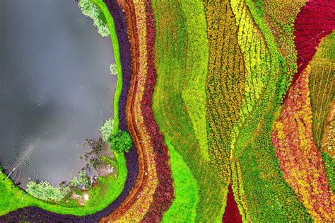 Estos Son Los Países Más Megadiversos De La Tierra Red 2030