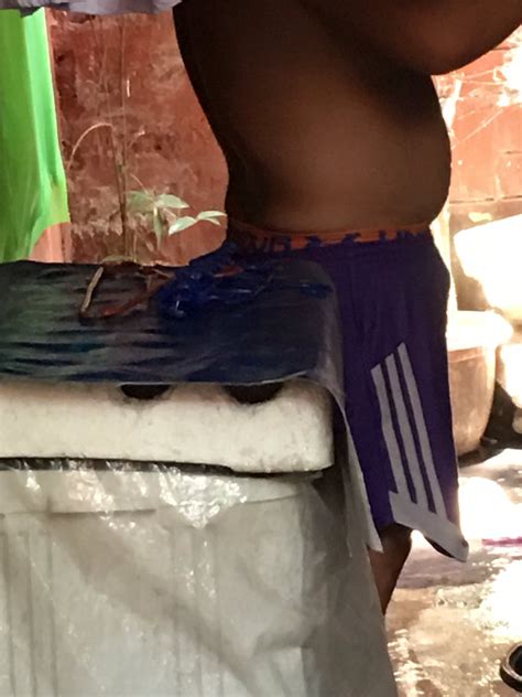 Spycameraman Spycameraman1 Twitter