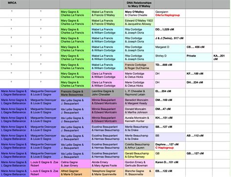 Grandbabe Finds Her Roots With MtDNA And Historical Records FamilyTreeDNA Blog