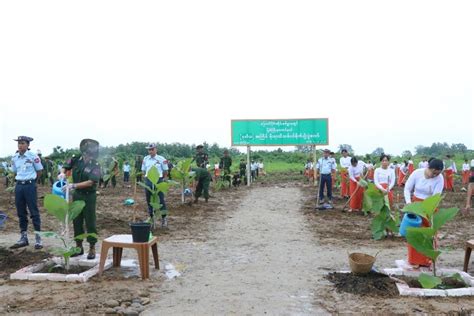 ကာကွယ်ရေးဦးစီးချုပ်ရုံး ကြည်း၊ ရေ၊ လေ မိသားစုများ၏ ၂၀၂၄ ခုနှစ် ဒုတိယအကြိမ် မိုးရာသီသစ်ပင်စိုက်ပ