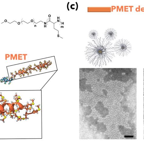 Figure1 Schematic Representation Of The One Pot Synthesis Synthesis Download Scientific