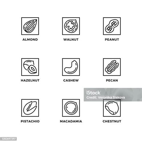 디자인 요소 로고 디자인 템플릿 너트용 아이콘 및 배지의 벡터 집합입니다 밤 견과에 대한 스톡 벡터 아트 및 기타 이미지 밤 견과 로고 아이콘 Istock
