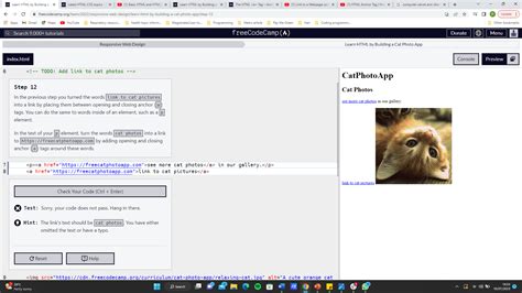 learn html by building a cat photo app step 12 html css the