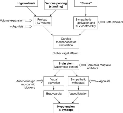 Syncope Thoracic Key