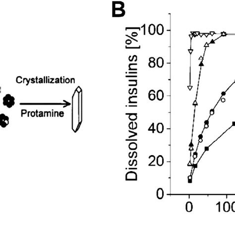 A Schematic Drawing Of Co Crystallization Of Insulin With Octanoyl Download Scientific Diagram