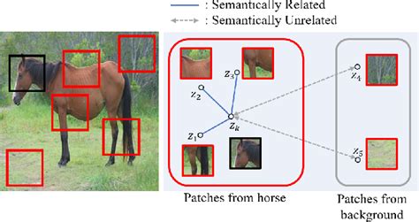 Figure 2 From Exploring Patch Wise Semantic Relation For Contrastive Learning In Image To Image
