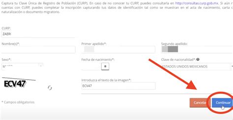 Guía Completa Cómo Obtener El Rfc De Una Persona Con Su Nombre