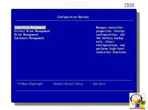Ibm Server Raid Manager • Вэб шпаргалка для интернет предпринимателей