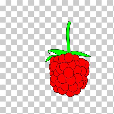 Free Svg Simple Raspberry Nohatcc