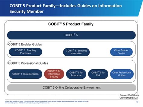 Secure Software Development COBIT5 Perspective PDF