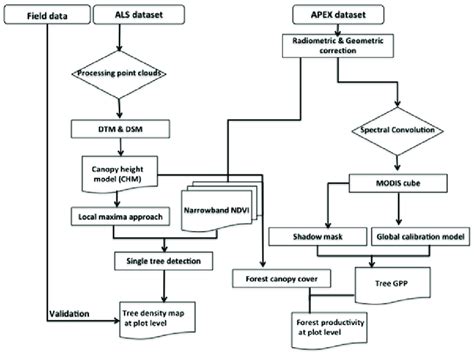 Flowchart Of The Methodology Implemented For Estimating Tree Density Download Scientific