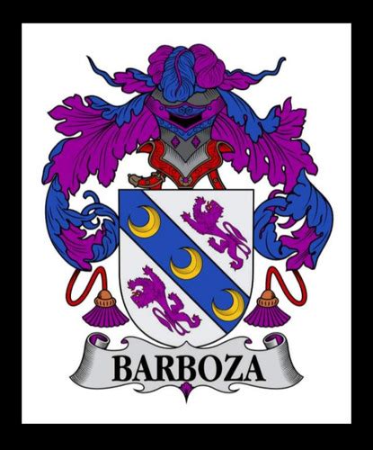 Barboza Quadro Brasão De Família 24x33cm Colorido Mercadolivre