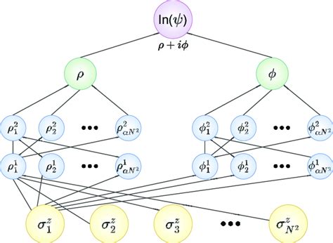 neural network structure used as nqs the inputs are the spin