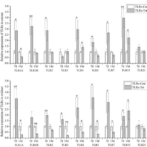 Relative Expression Of Tlrs Mrna In The Cecum And Oviduct Note Download Scientific
