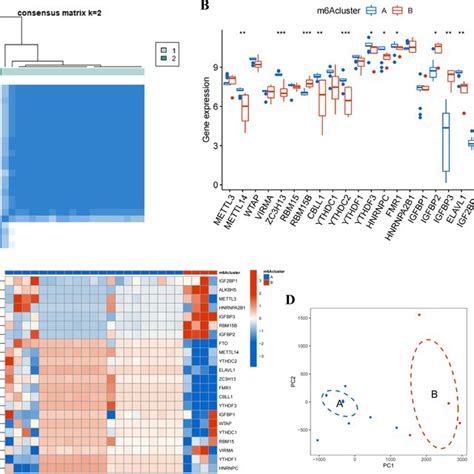 consensus clustering of 22 degs of m6a regulators a consensus matrix