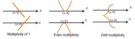 Polynomial Functions Properties Graphs And Examples