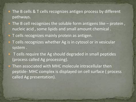Antigen Processing And Presentation Pptx