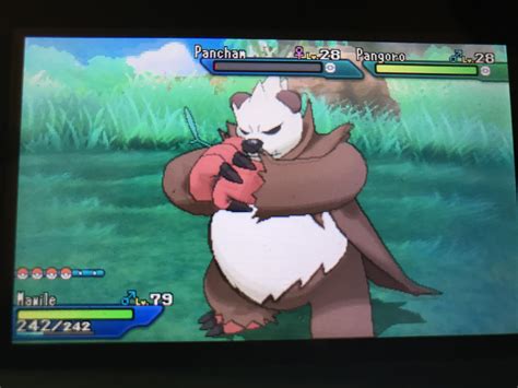 Pancham And Pangoro