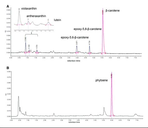 Extracted Ion Chromatograms From Ultra Performance Liquid Download Scientific Diagram