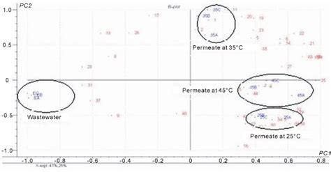 Scores And Loading Plots For Pc1 × Pc2 Numbers In The Loading Plots Download Scientific
