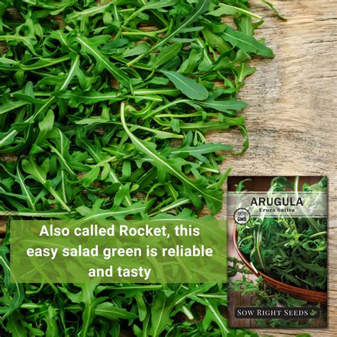 Arugula Seeds For Planting Easy To Grow Peppery Salad Green Sow