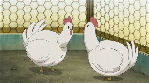 Anime Chicken Wallpapers Wallpaper Cave