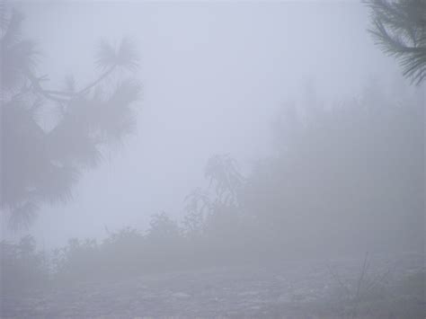 霧 一種自然天氣現象 定義 成因 形成條件 消散原因 顏色 種類 氣團霧 鋒面霧 中文百科全書