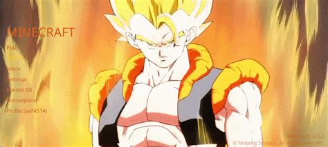 Dragon Ball Gogeta Animation