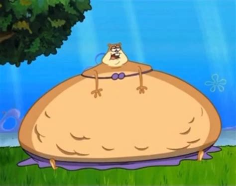 Sandy Cheeks Weight Gain By Salamander Commander On Deviantart