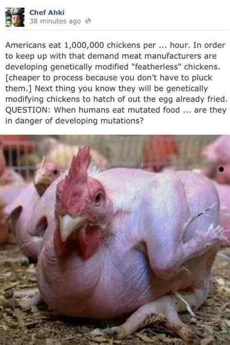 Genetically Modified Chicken Comparison