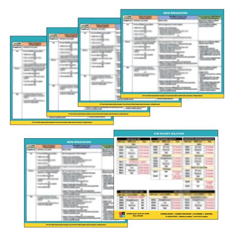 Pocket Coding Tool Bundle 5 Pocket Tools CHCS ELearning