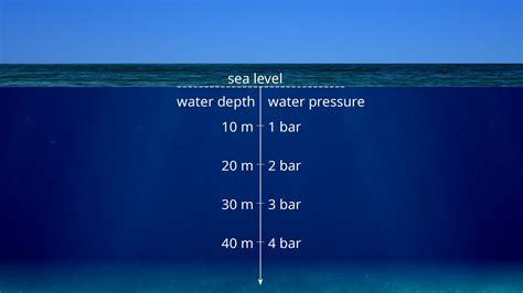 How Does Depth Affect Marine Life At Lola Stice Blog