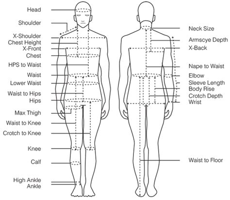 Perspectives Of Anthropometry In Garment Pattern Making Artofit