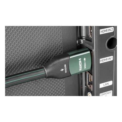 Audioquest Forest in Kuwait | Buy Online – Xcite Kuwait