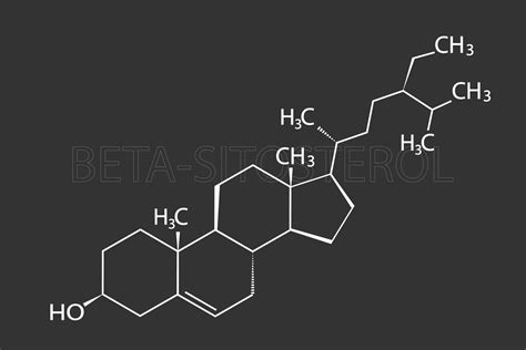 Beta Sitosterol Molecular Skeletal Chemical Formula 36465254 Vector Art At Vecteezy
