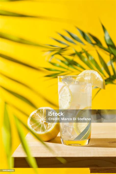 레모네이드 유리잔의 수직 정면 모습 나무 테이블과 야자수 잎에 얼음 조각 개념에 대한 스톡 사진 및 기타 이미지 개념