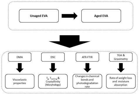 2 A General Diagram Showing The Experimental Methodology Used In This Download Scientific