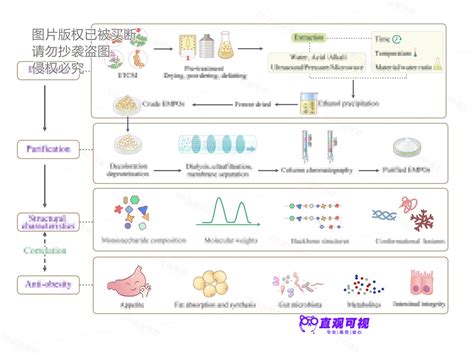 科研绘图 医学插画 生物化学 环境材料 机制图均可接 哔哩哔哩