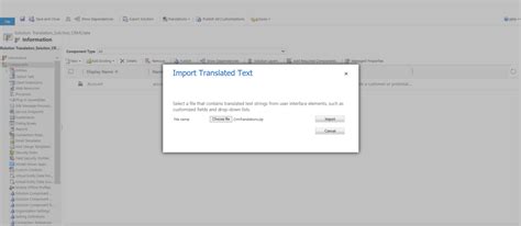 Exporting And Importing Translations In Dynamics 365 Crm Crm Crate