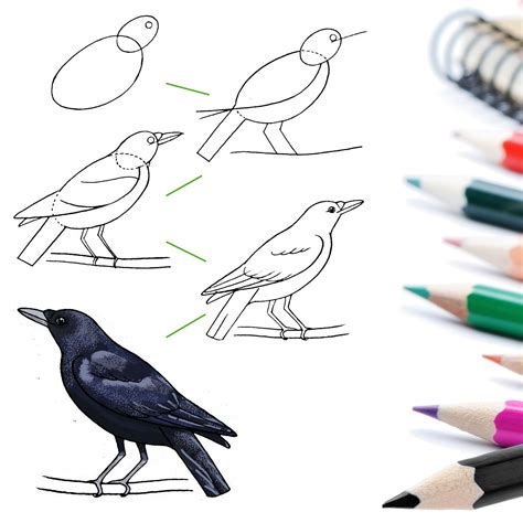 Рисуем карандашом птицу ворона Crows Drawing Drawings Creative Art