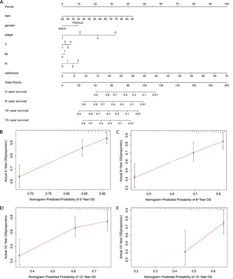 Construction Of A Nomogram For Survival Prediction A The Clinical