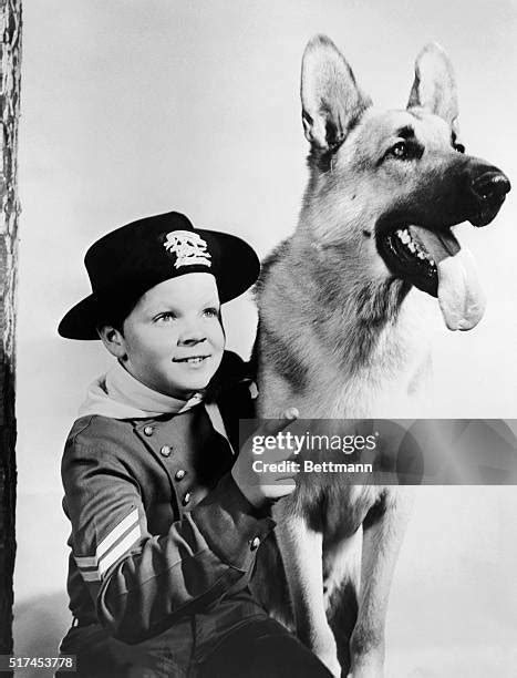 Rin Tin Tin Photos And Premium High Res Pictures Getty Images
