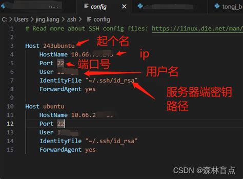 vscode设置远程登录和免密登录 vscode免密登录 csdn博客
