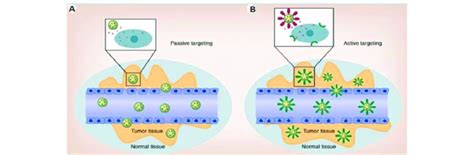 Illustration Of Passive And Active Targeting Of Nanoparticles Nps For