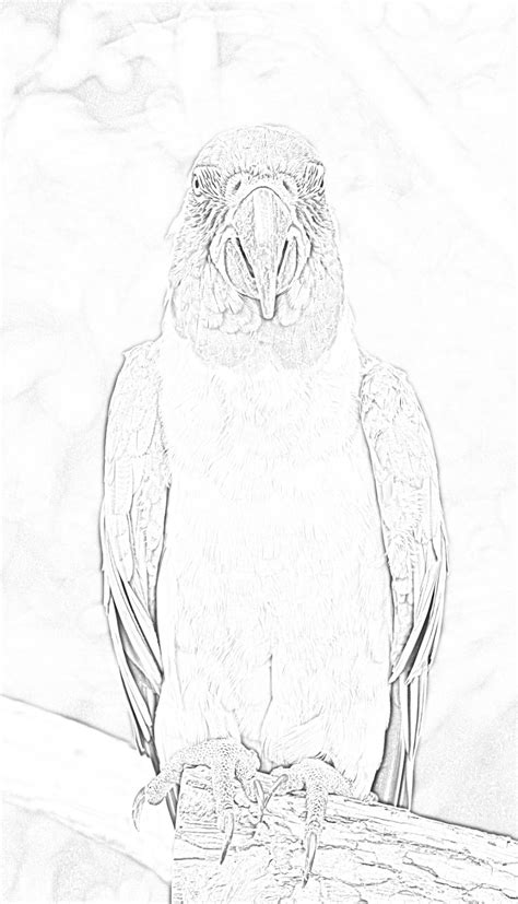 Gimp Sketch Effect At PaintingValley Com Explore Collection Of Gimp Sketch Effect