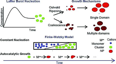 The Schematic Shows The Nucleation And Growth Process Of Qds Different Download Scientific