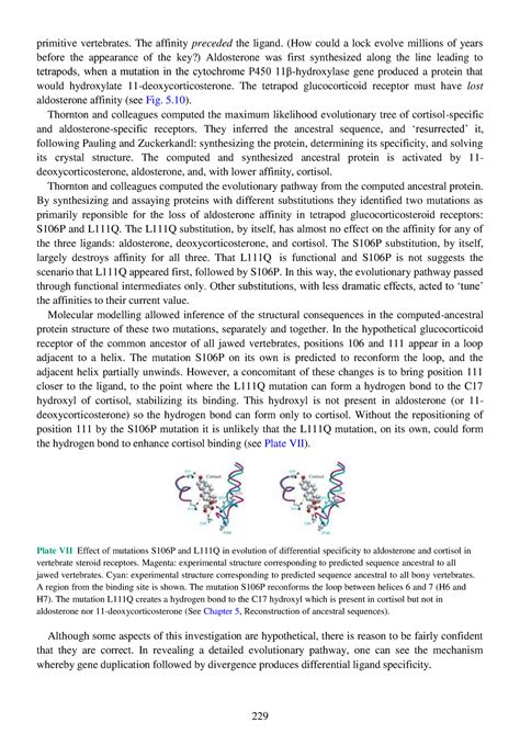 Introduction Of Bioinformatics Notes 58 Primitive Vertebrates The