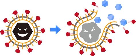 Bacterial Envelope Over 94 Royalty Free Licensable Stock Illustrations And Drawings Shutterstock