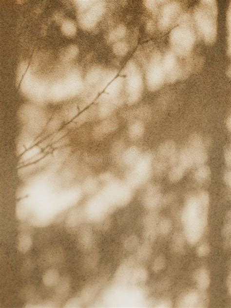 Blurry Dense Tree Shadows In A Sunny Day On A Brown Wall Natural Abstract Background Detailed