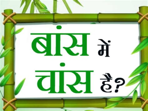 Bamboo Cultivation बांस की खेती करें और लाखों कमाएं सरकार देगी प्रति